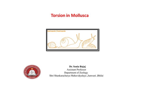 Torsion in Mollusca, Mechanism of torsion | PPTX | Geology | Science