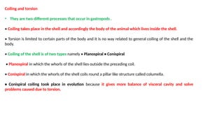 Torsion in Mollusca, Mechanism of torsion | PPTX | Geology | Science