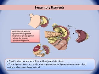 Torsion of spleen | PPTX