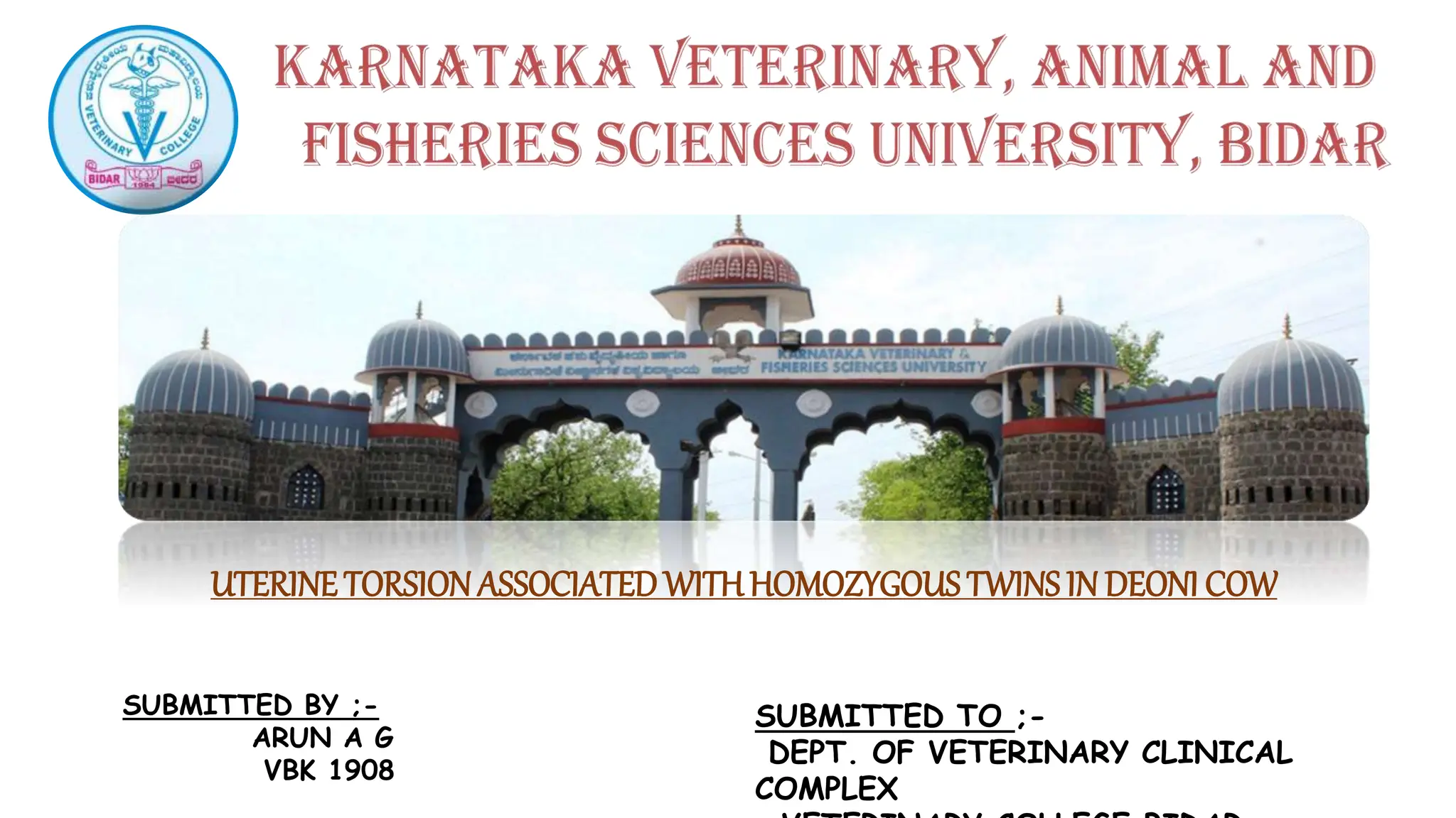 Torsion repair and treatment in animals ppt | PPT