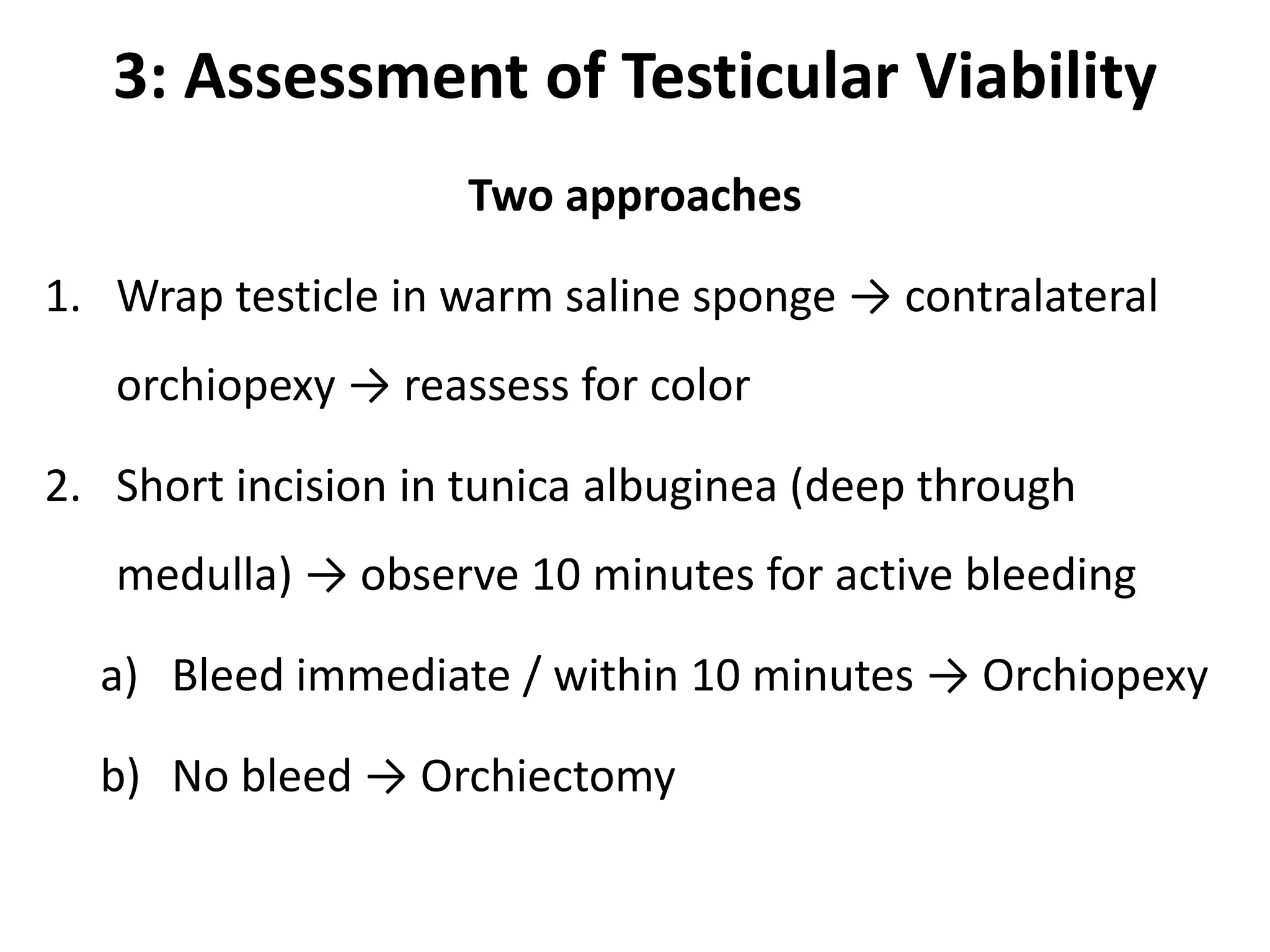 Torsion testis - Operative chat | PPTX