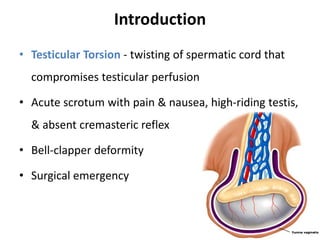 Torsion testis - Operative chat | PPTX
