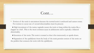 Torsion testis and Epididymoorchitis.pptx
