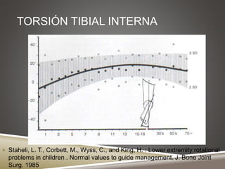 Torsion tibial | PPTX