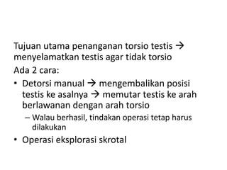 Torsio Testis.pdf