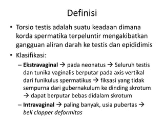Torsio Testis.pdf