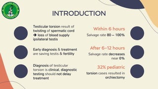 TORSIO TESTIS presentasion fixxed NEW.pptx