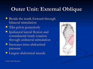 Torso Core Training Site | PPT