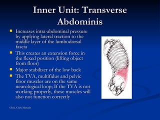 Torso Core Training Site | PPT