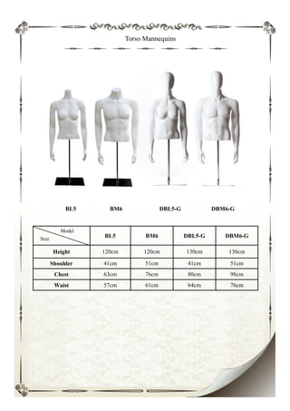 Torso female& male | PPT