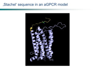 Targeting giants - the pharmacology of adhesions GPCRs | PDF