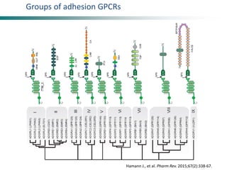 Targeting giants - the pharmacology of adhesions GPCRs | PDF