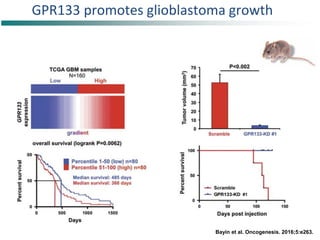 Targeting giants - the pharmacology of adhesions GPCRs | PDF