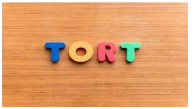 Tort-Lecture-1.on the introduction to tort pptx | PPT