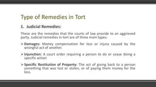 Tort and Laws Relating to Workplace.pptx