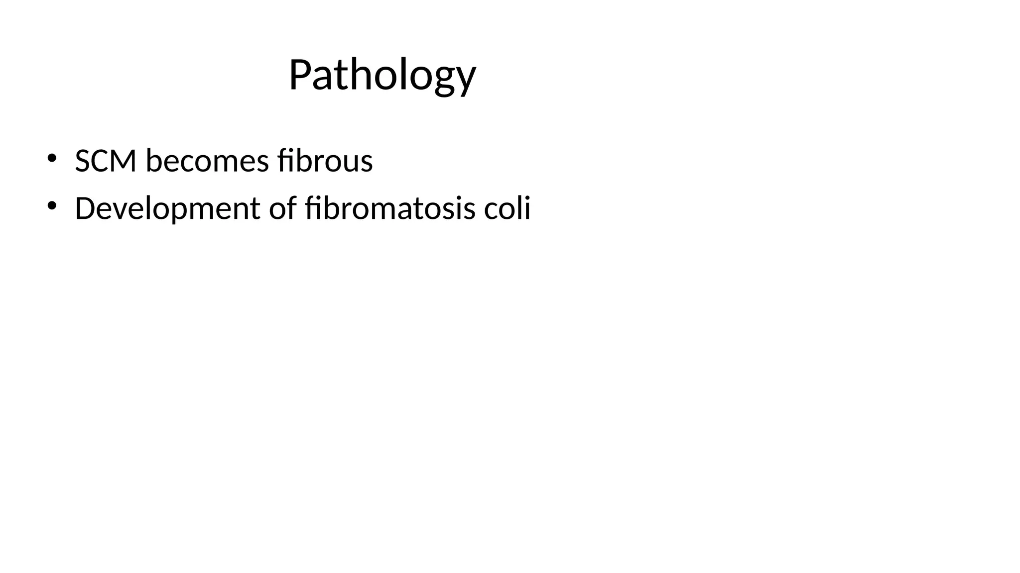 A detailed, labeled diagram of the neck, highlighting the SCM muscle ...