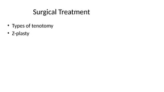 A detailed, labeled diagram of the neck, highlighting the SCM muscle ...