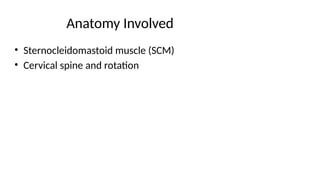 A detailed, labeled diagram of the neck, highlighting the SCM muscle ...