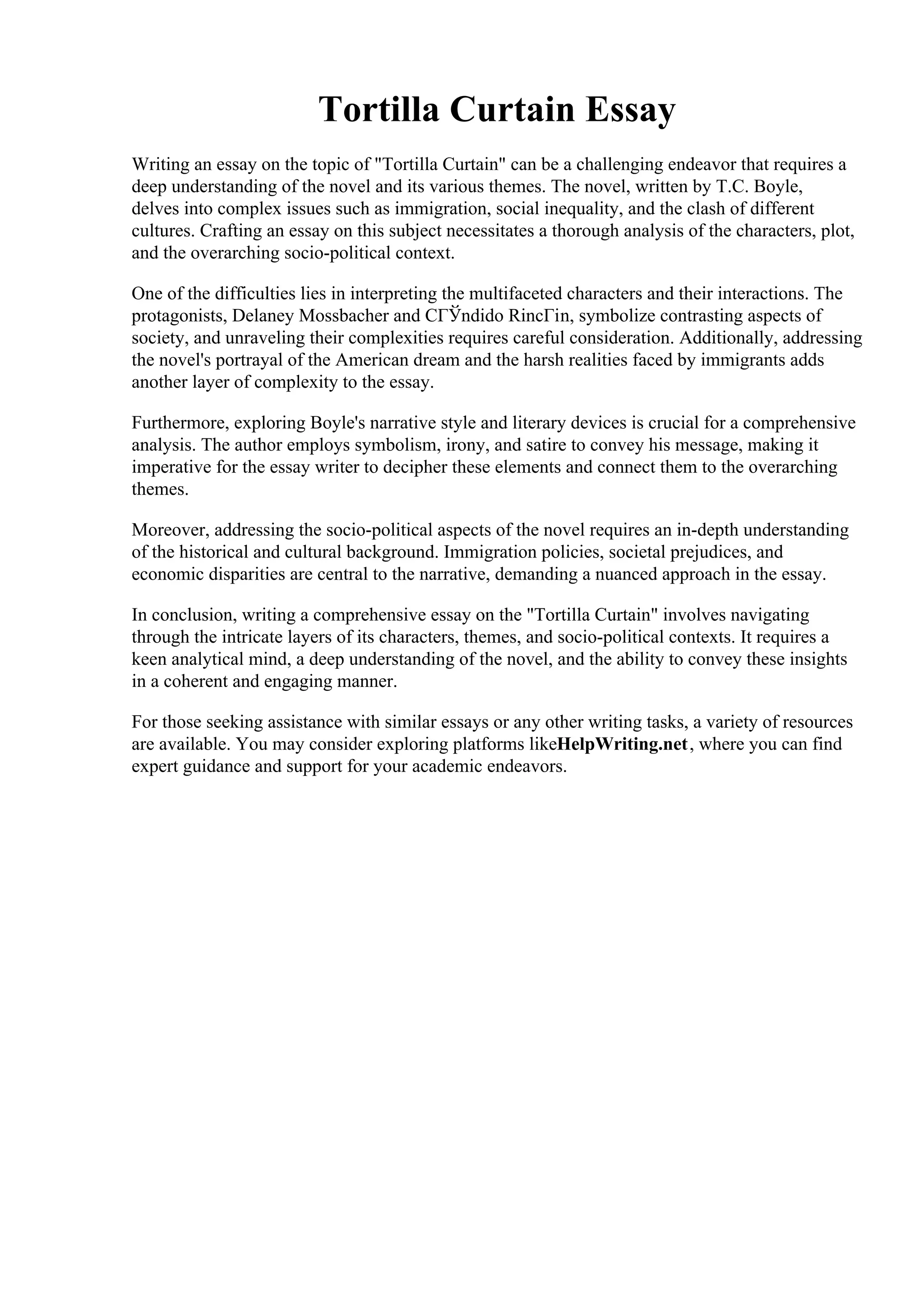 Tortilla Curtain Essay | PDF