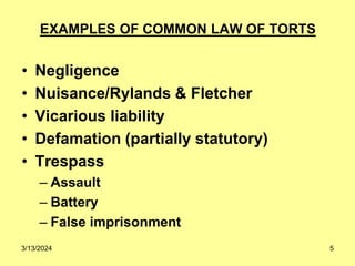 Tort law introduction into negligence. Pp | PPT