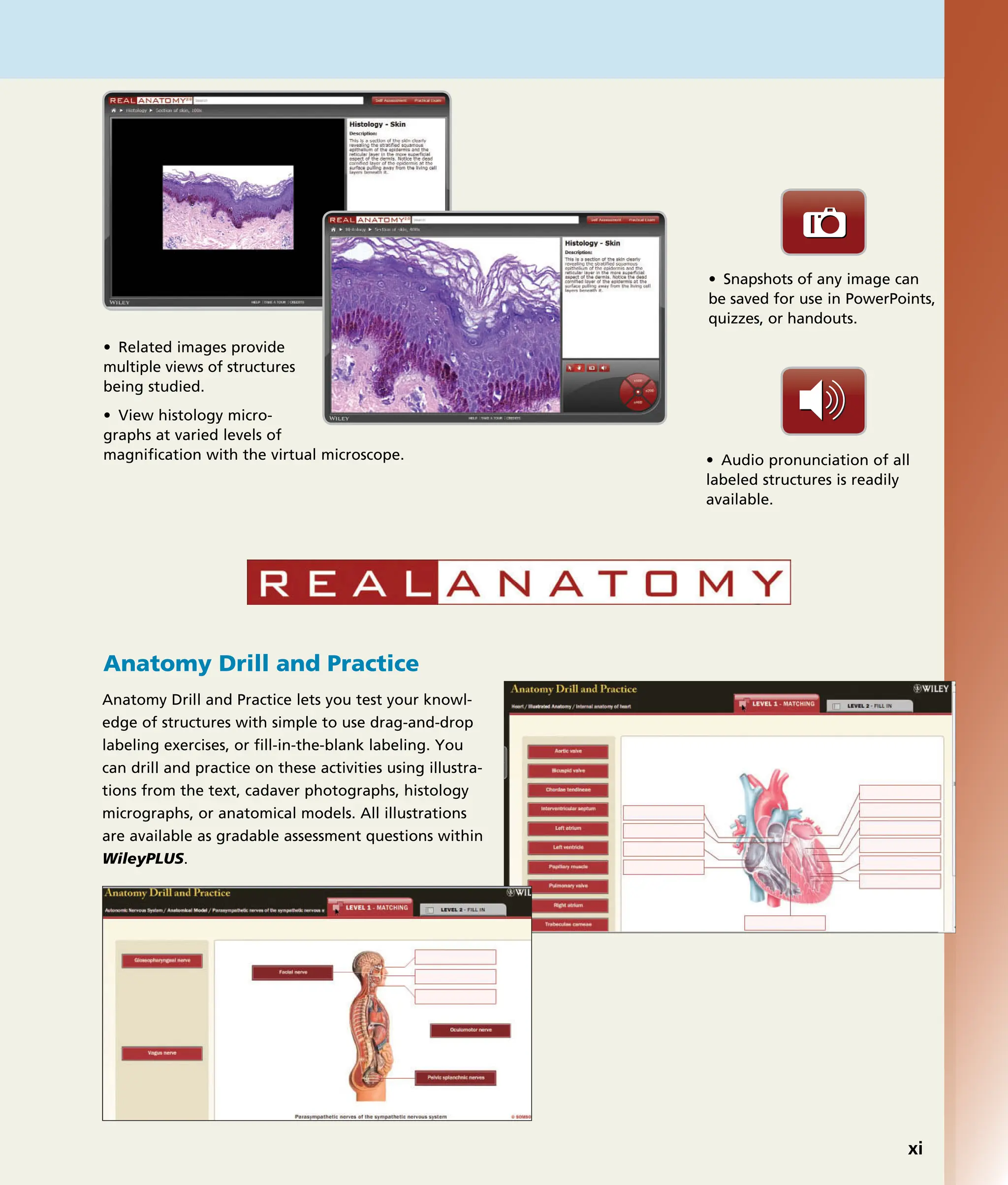 Tortora PRINCIPLES OF ANATOMY AND PHYSIOLOGY - Tortora - 14th Ed.pdf