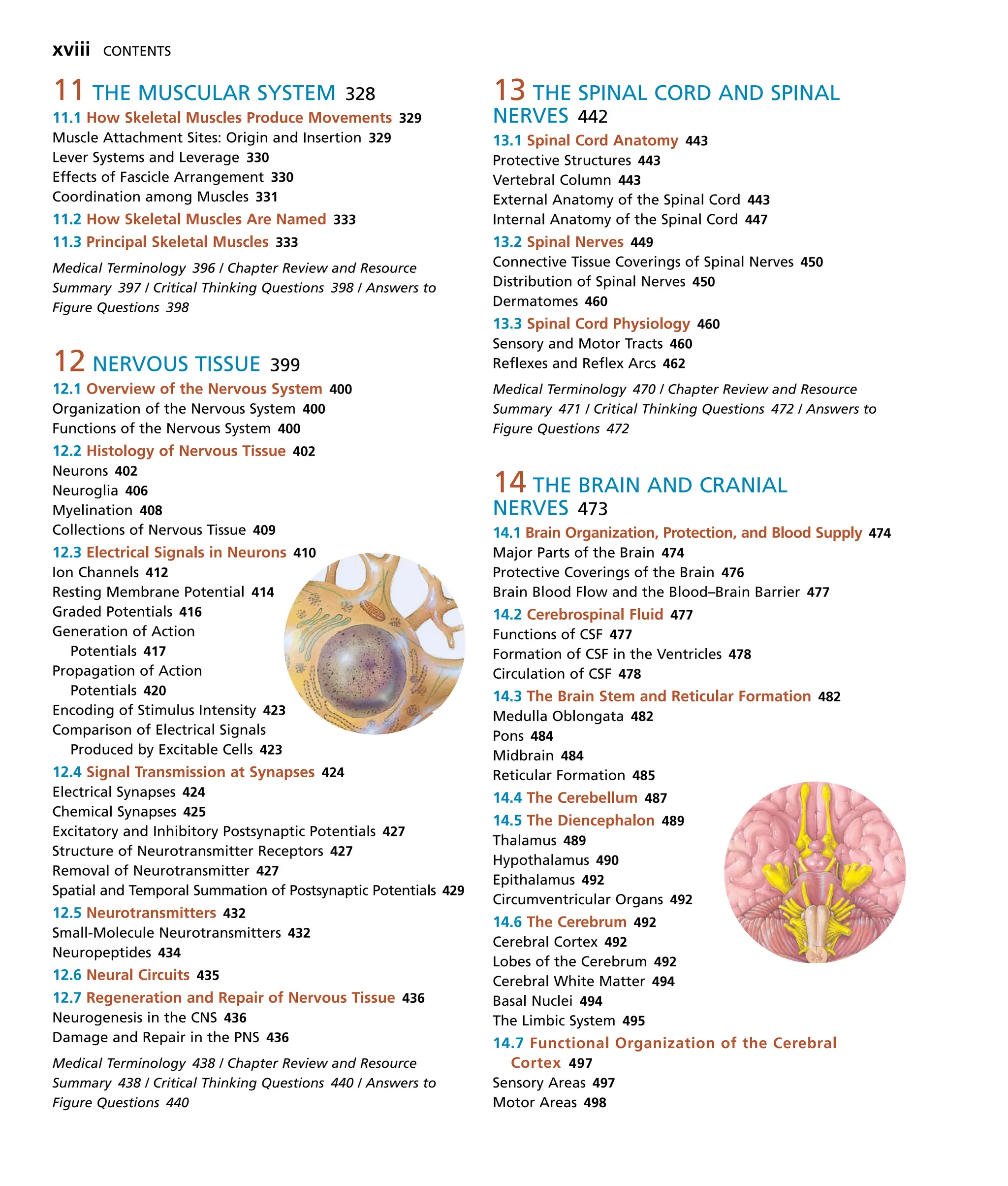 Tortora PRINCIPLES OF ANATOMY AND PHYSIOLOGY - Tortora - 14th Ed.pdf
