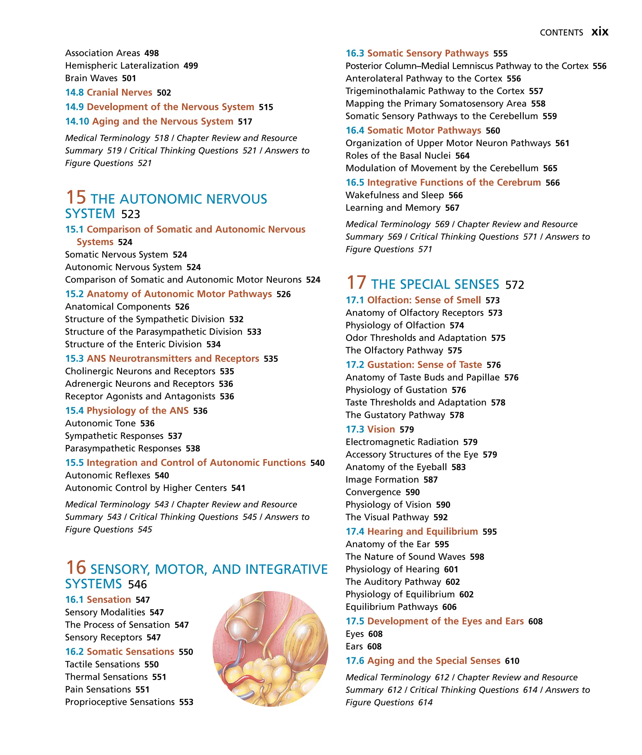 Tortora PRINCIPLES OF ANATOMY AND PHYSIOLOGY - Tortora - 14th Ed.pdf