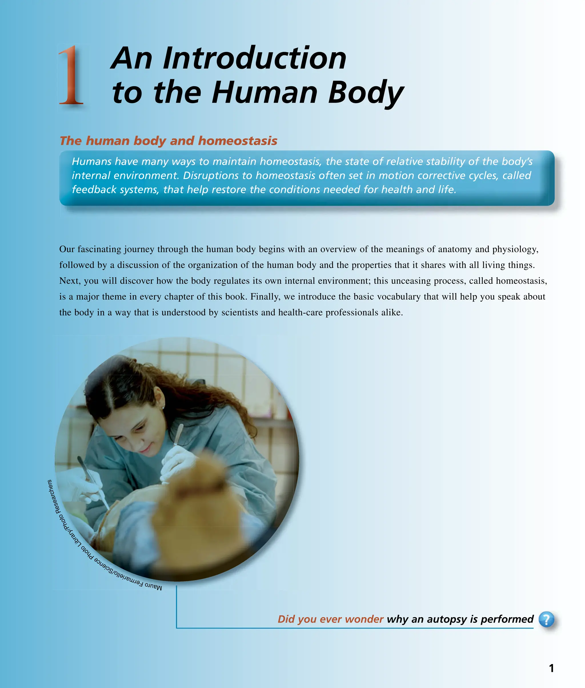 Tortora PRINCIPLES OF ANATOMY AND PHYSIOLOGY - Tortora - 14th Ed.pdf