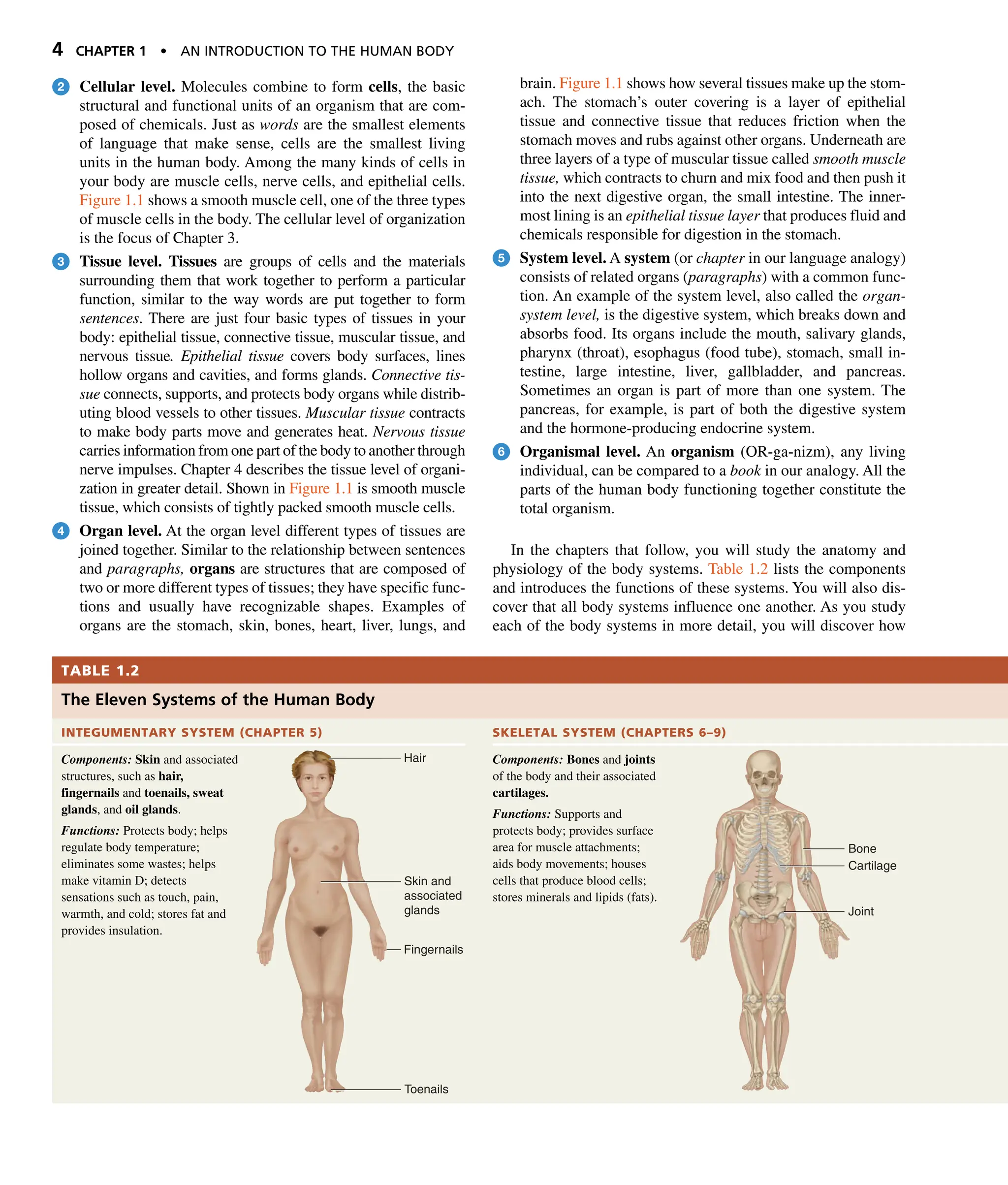 Tortora PRINCIPLES OF ANATOMY AND PHYSIOLOGY - Tortora - 14th Ed.pdf