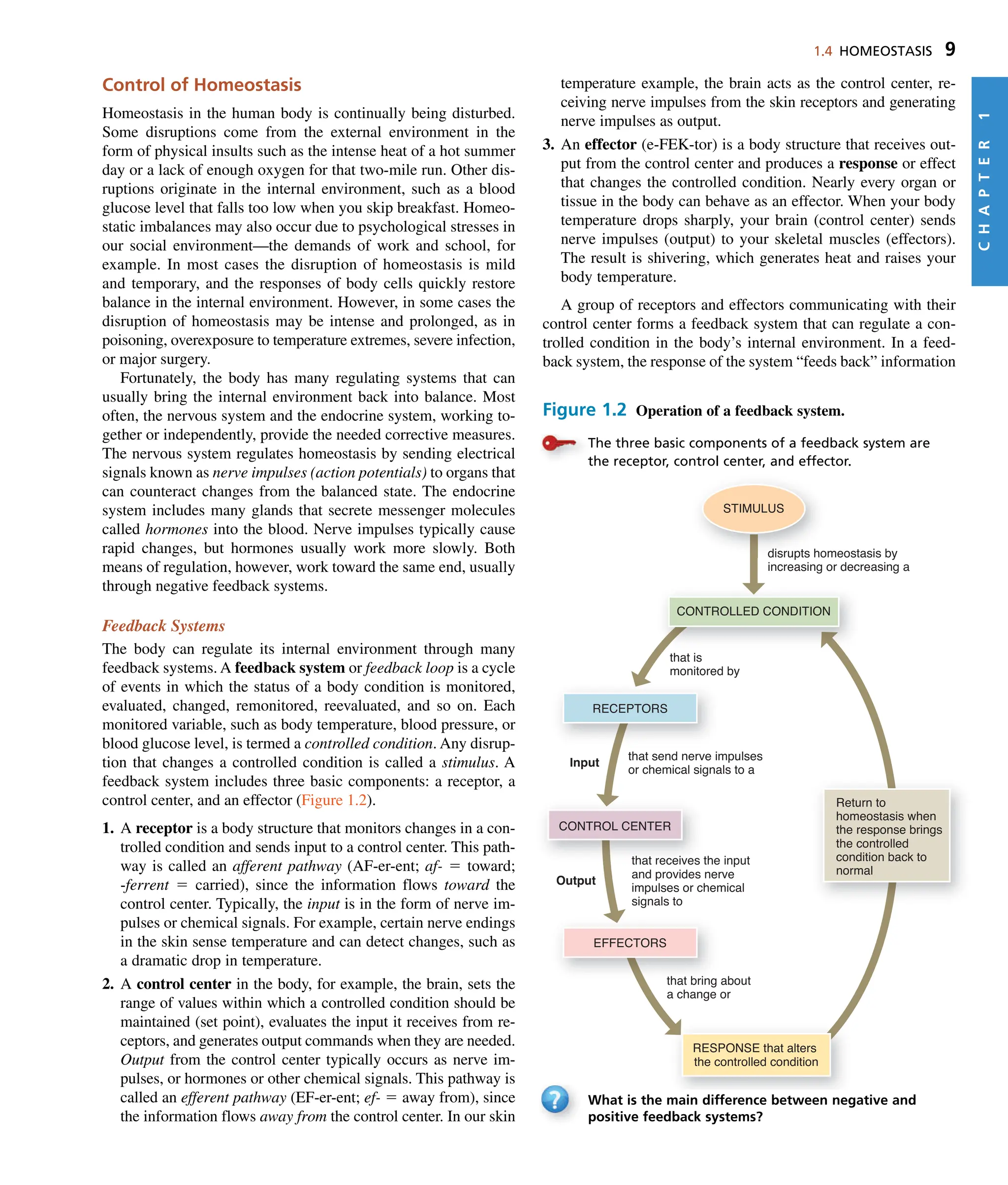 Tortora PRINCIPLES OF ANATOMY AND PHYSIOLOGY - Tortora - 14th Ed.pdf