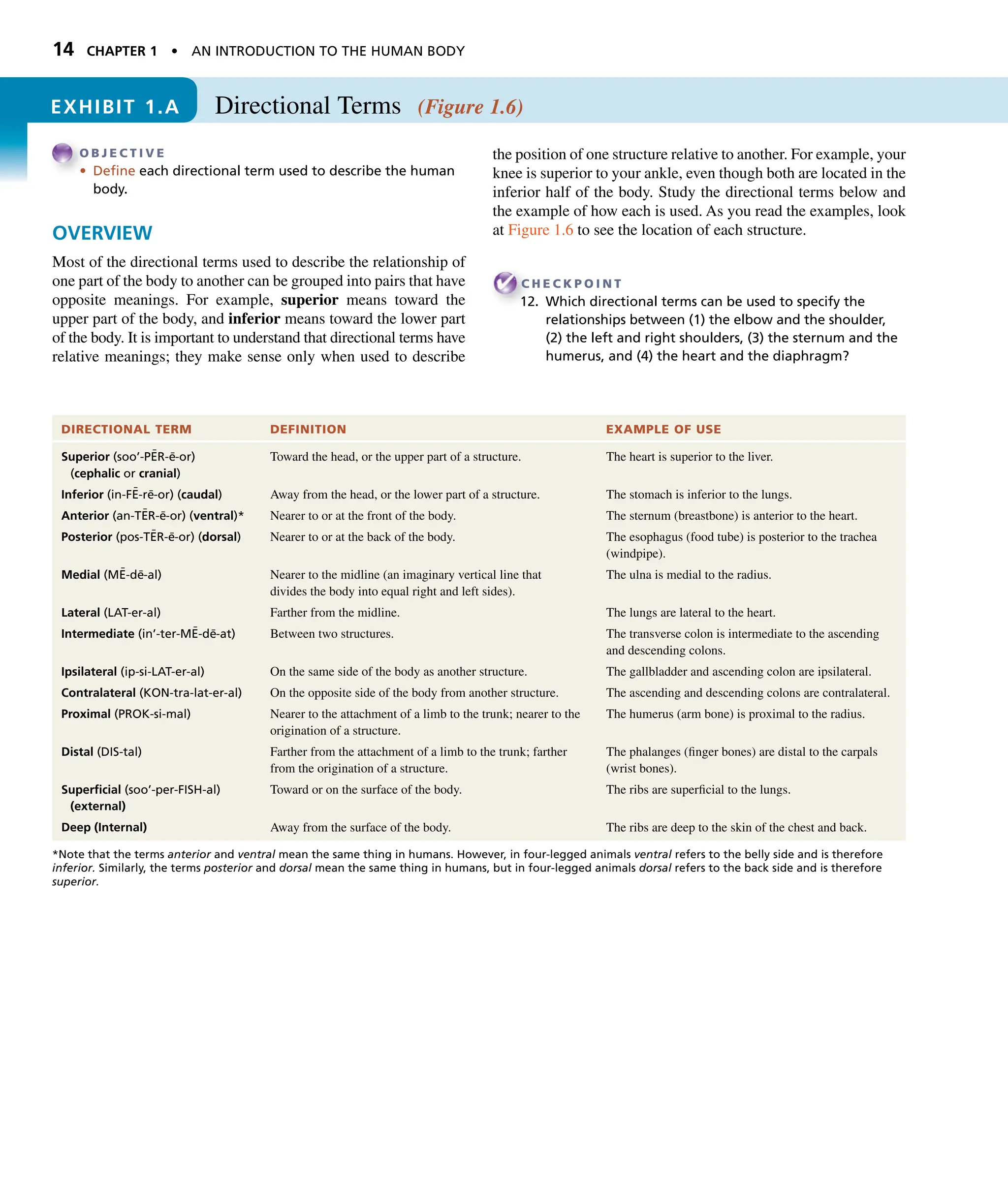 Tortora PRINCIPLES OF ANATOMY AND PHYSIOLOGY - Tortora - 14th Ed.pdf