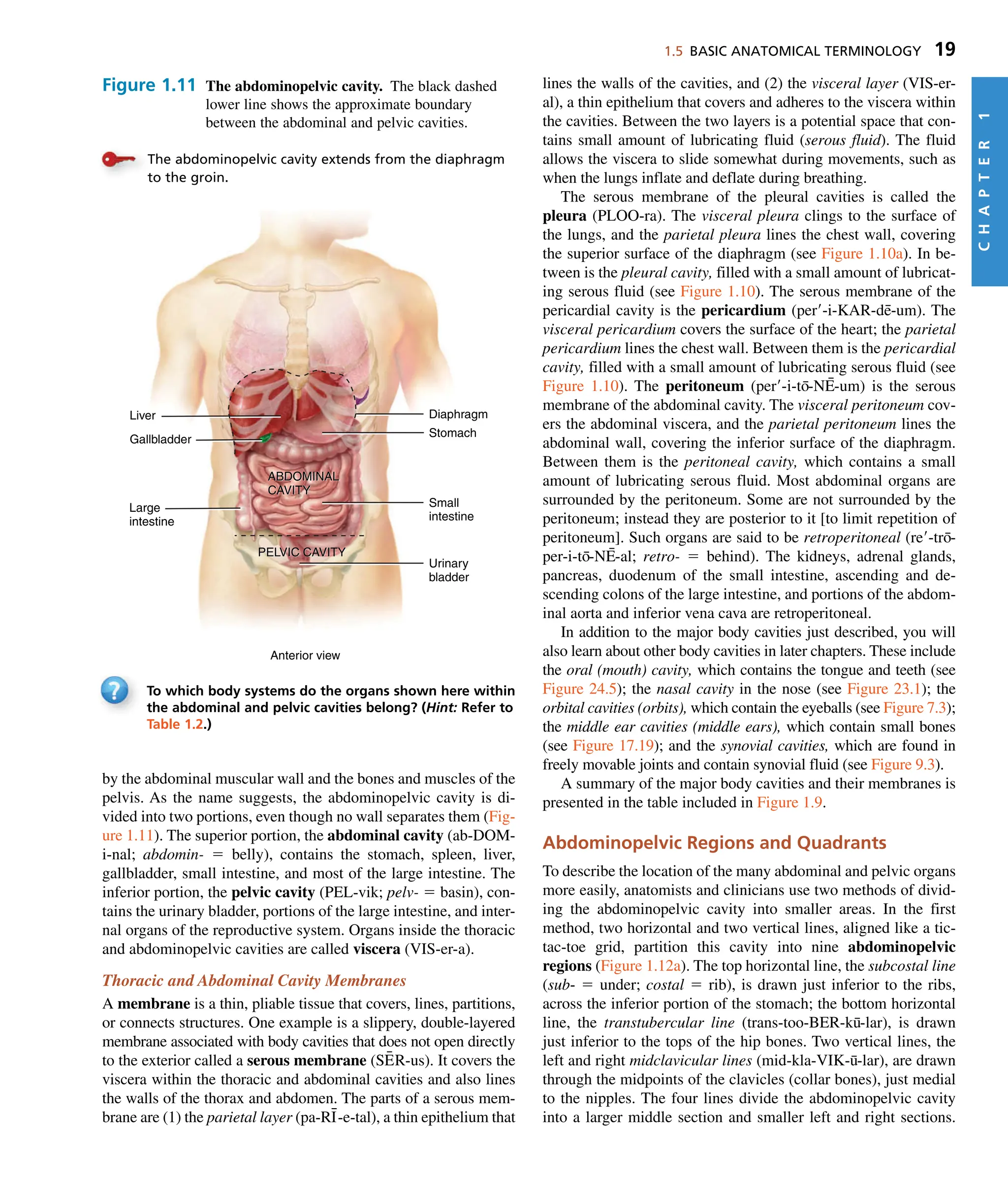 Tortora PRINCIPLES OF ANATOMY AND PHYSIOLOGY - Tortora - 14th Ed.pdf