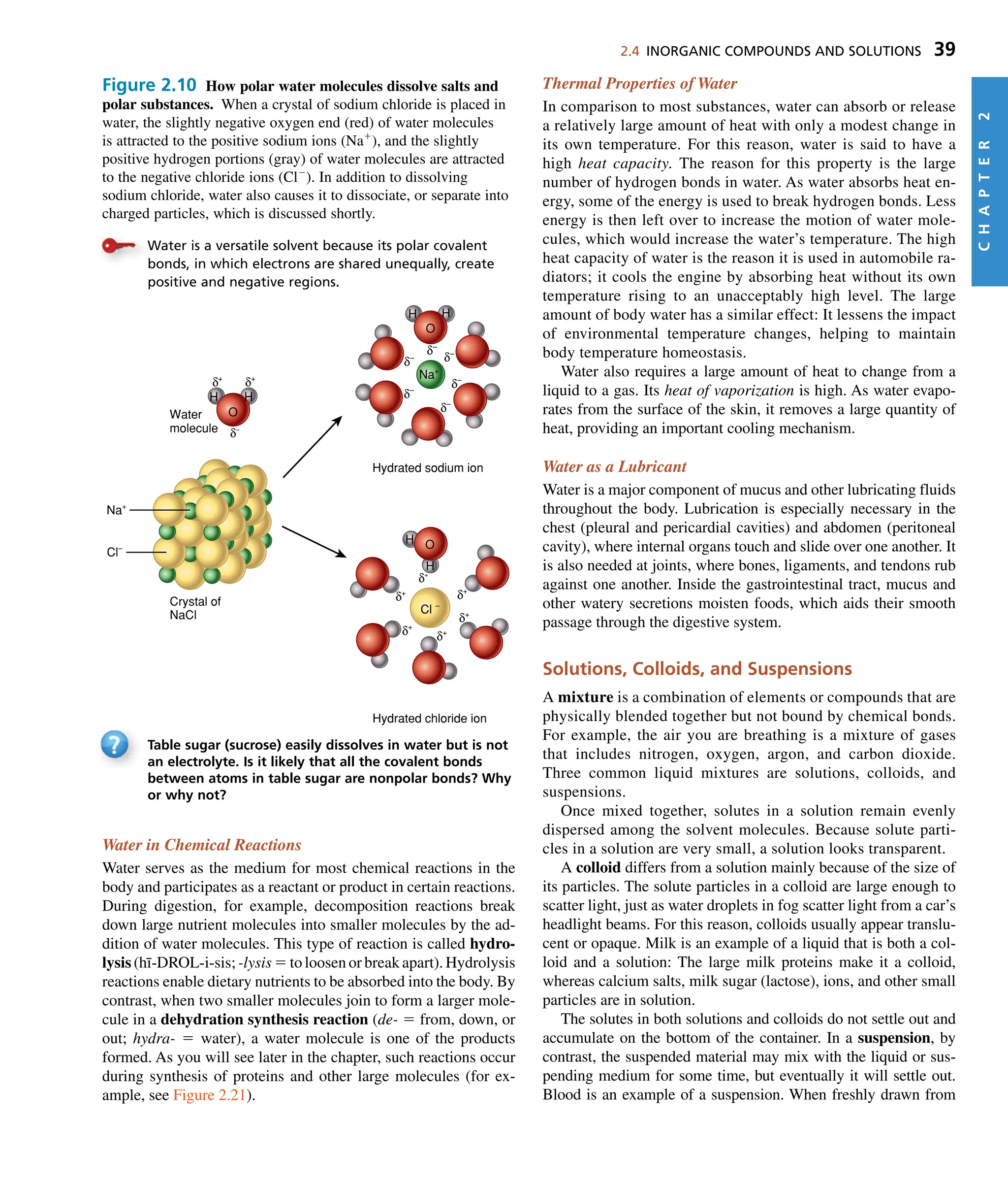 Tortora PRINCIPLES OF ANATOMY AND PHYSIOLOGY - Tortora - 14th Ed.pdf
