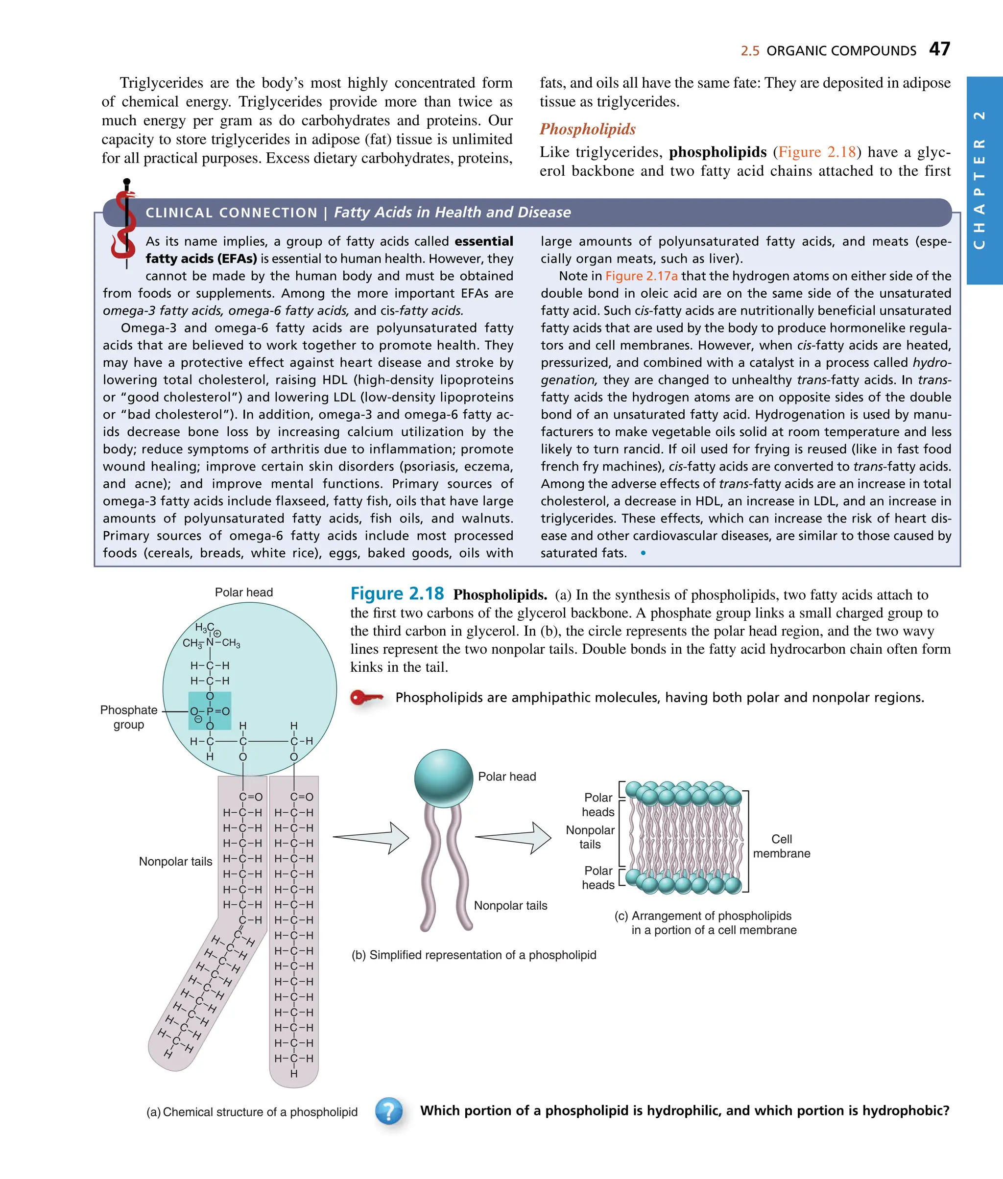 Tortora PRINCIPLES OF ANATOMY AND PHYSIOLOGY - Tortora - 14th Ed.pdf