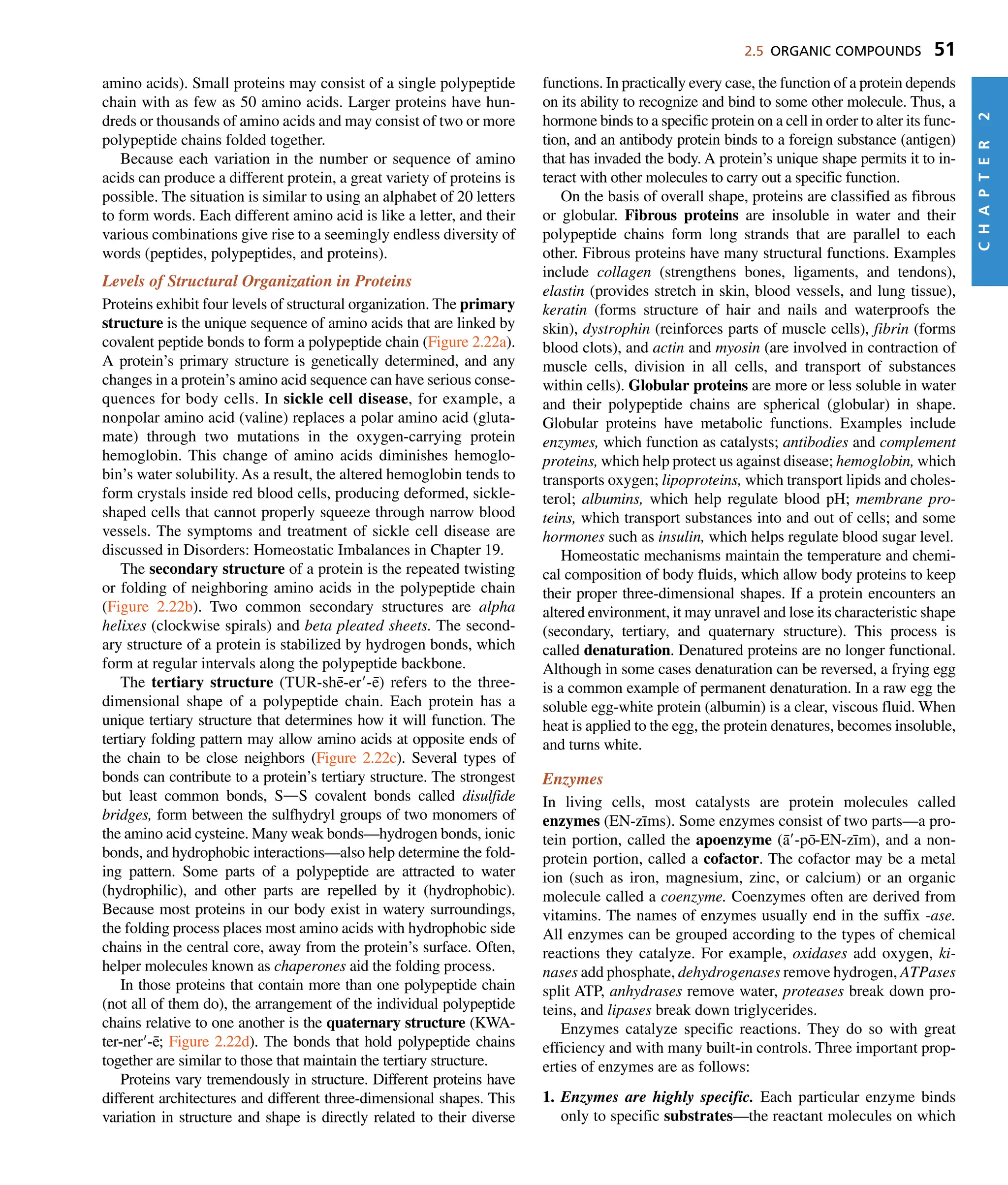 Tortora PRINCIPLES OF ANATOMY AND PHYSIOLOGY - Tortora - 14th Ed.pdf