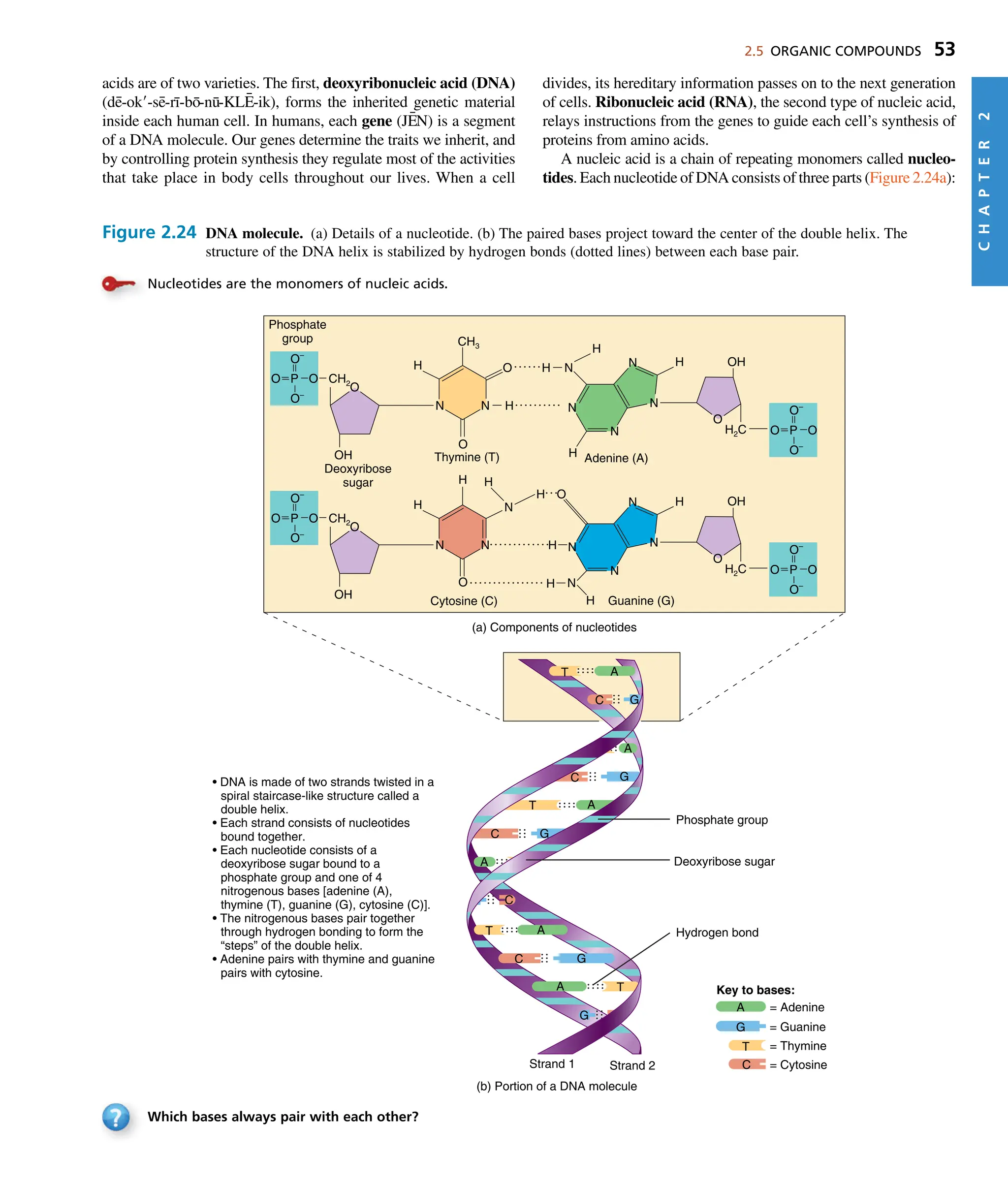 Tortora PRINCIPLES OF ANATOMY AND PHYSIOLOGY - Tortora - 14th Ed.pdf