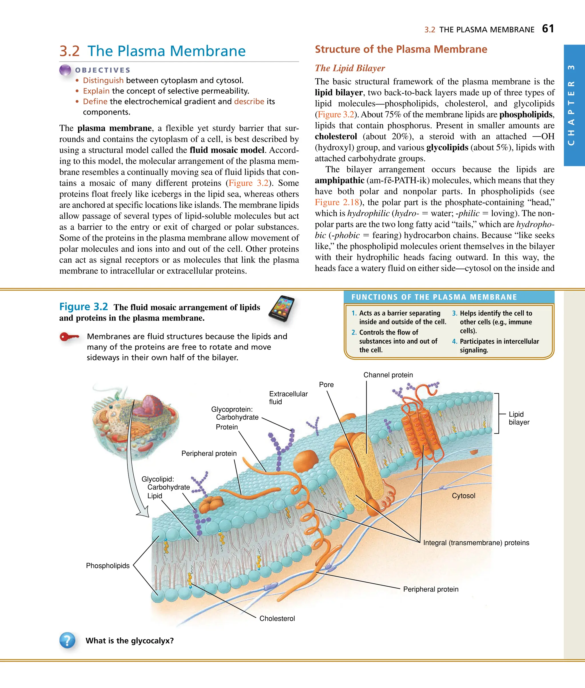 Tortora PRINCIPLES OF ANATOMY AND PHYSIOLOGY - Tortora - 14th Ed.pdf