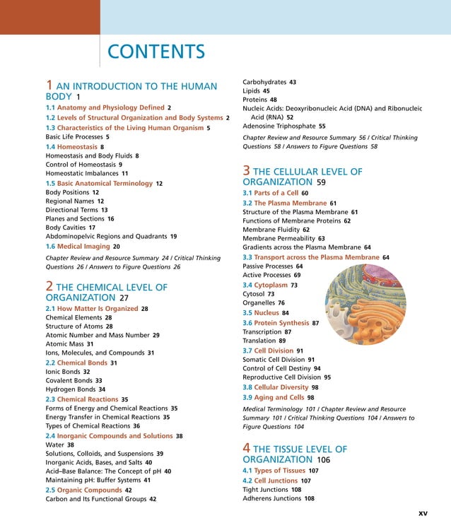 Tortora PRINCIPLES OF ANATOMY AND PHYSIOLOGY - Tortora - 14th Ed.pdf