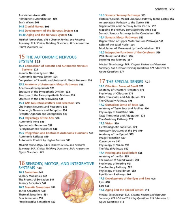 Tortora PRINCIPLES OF ANATOMY AND PHYSIOLOGY - Tortora - 14th Ed.pdf