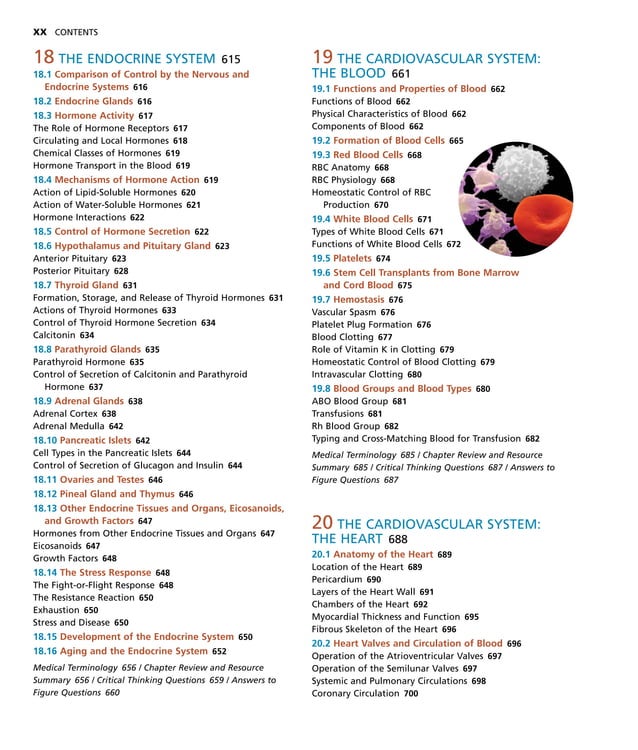 Tortora PRINCIPLES OF ANATOMY AND PHYSIOLOGY - Tortora - 14th Ed.pdf