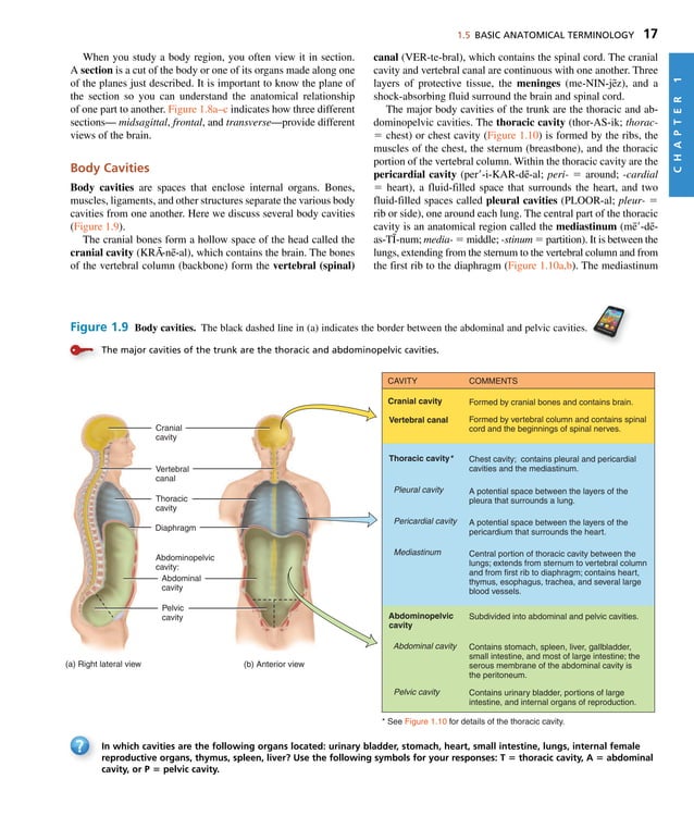 Tortora PRINCIPLES OF ANATOMY AND PHYSIOLOGY - Tortora - 14th Ed.pdf
