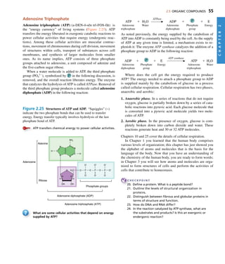 Tortora PRINCIPLES OF ANATOMY AND PHYSIOLOGY - Tortora - 14th Ed.pdf