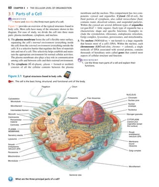 Tortora PRINCIPLES OF ANATOMY AND PHYSIOLOGY - Tortora - 14th Ed.pdf