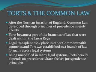 The Evolution and Reform of Tort Law in India - Case for Codification ...