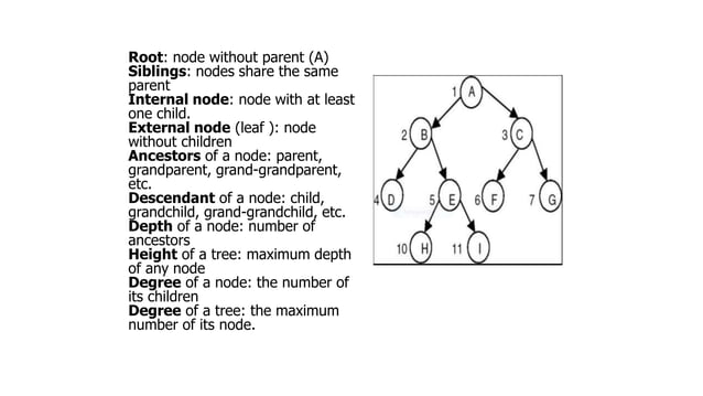 TREE BST HEAP GRAPH | PPTX