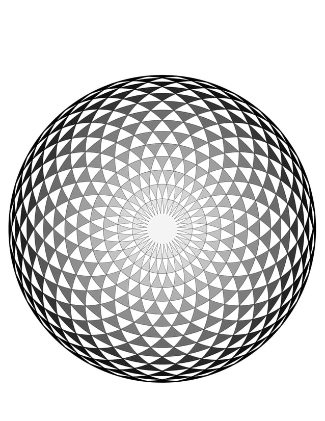 Torus field | PDF