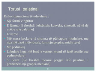 Torusi palatinal dhe ndikimi i tij ne thyerjen e protezes totale | PDF