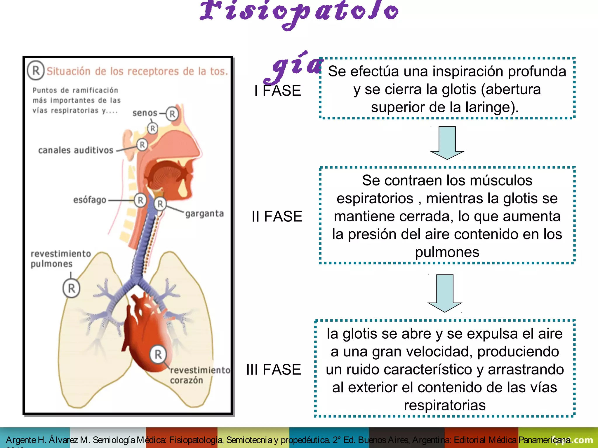 Tos - Expectoración - Hemoptisis | PPT