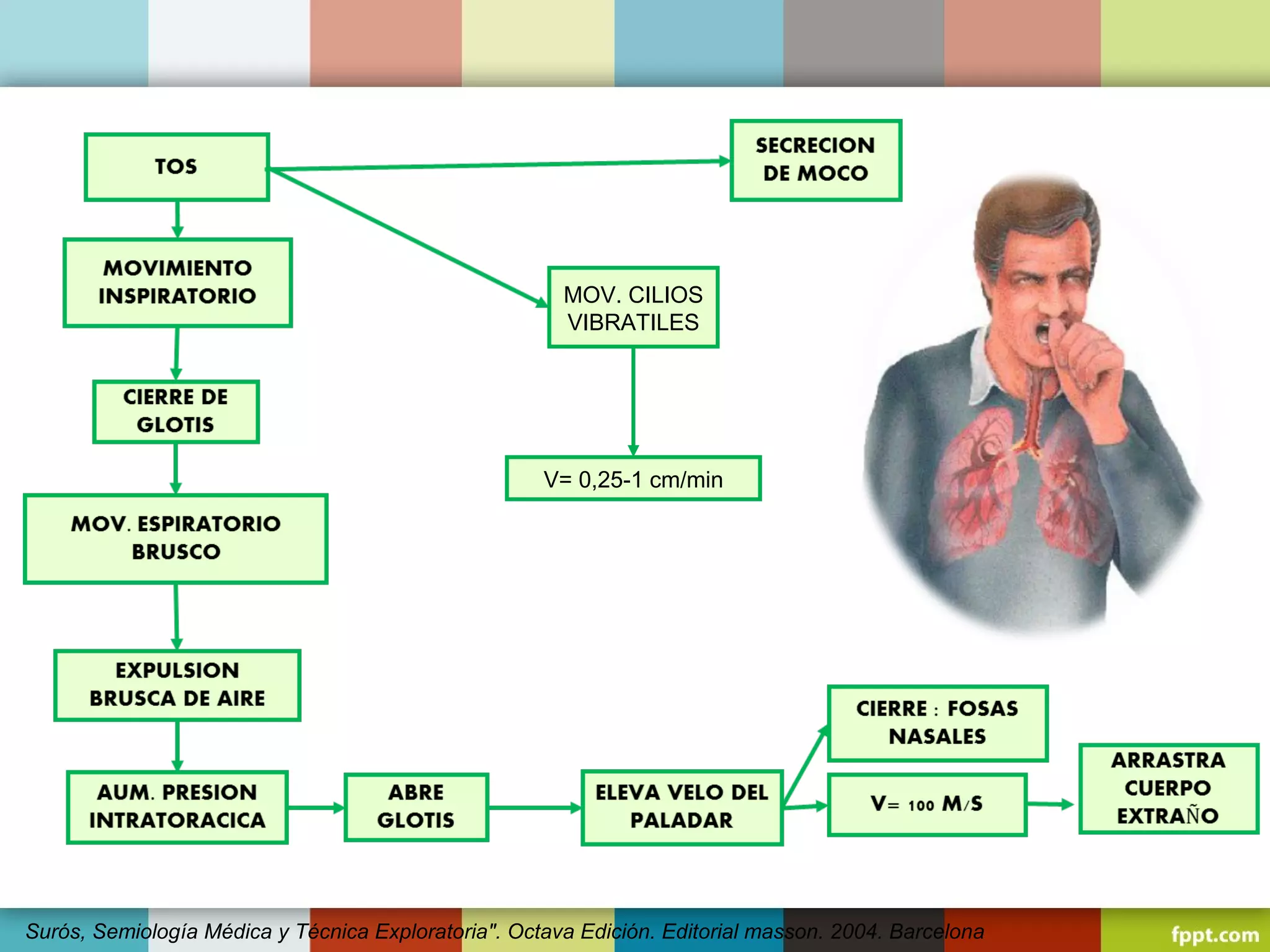 Tos - Expectoración - Hemoptisis | PPT