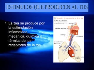 Tos Y Hemoptis Todo | PPT